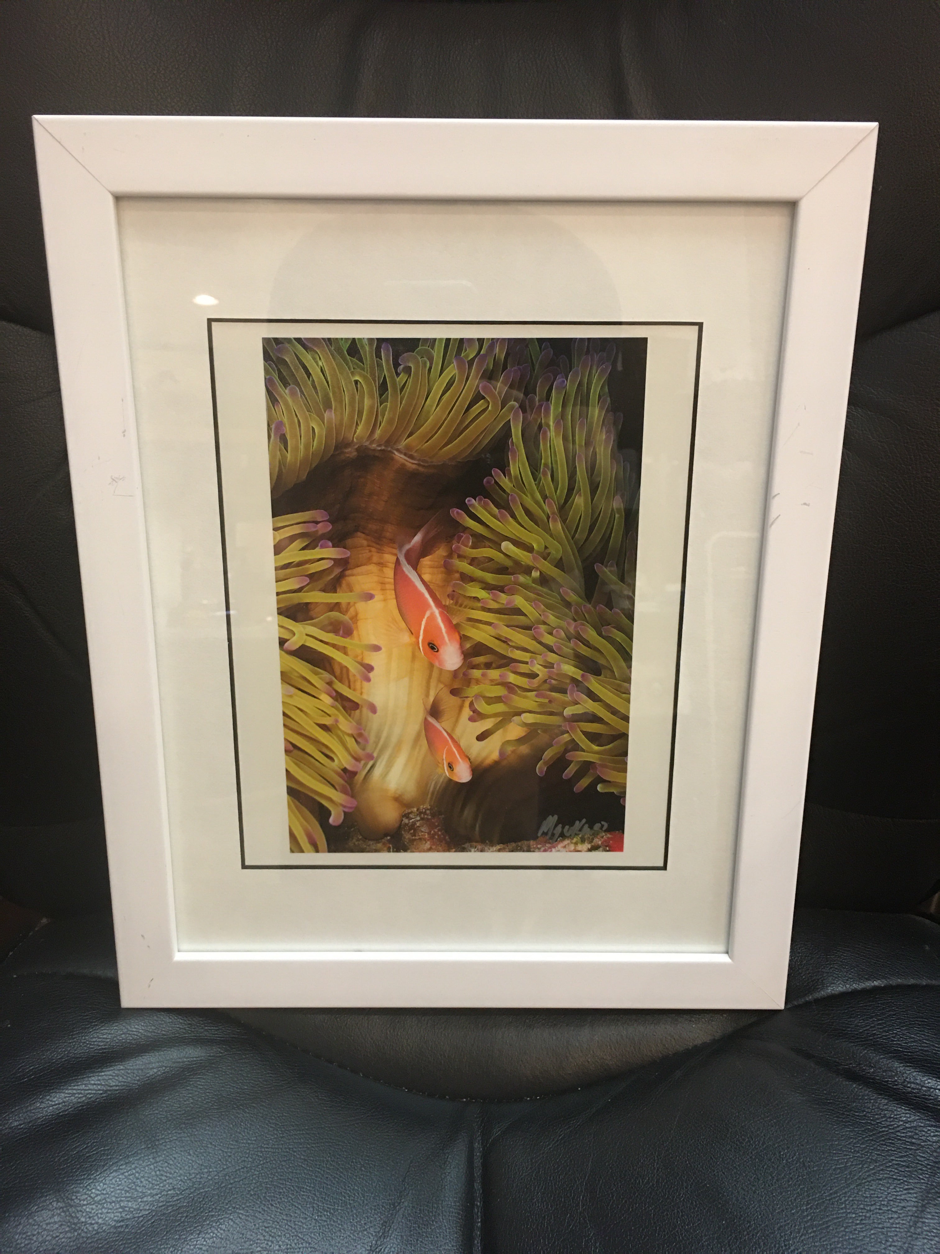 CLOWN FISH PRINT – Consign & Design